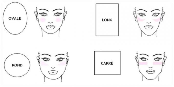 Quelques détails sur la morphologie du visage - Club des esthéticiennes